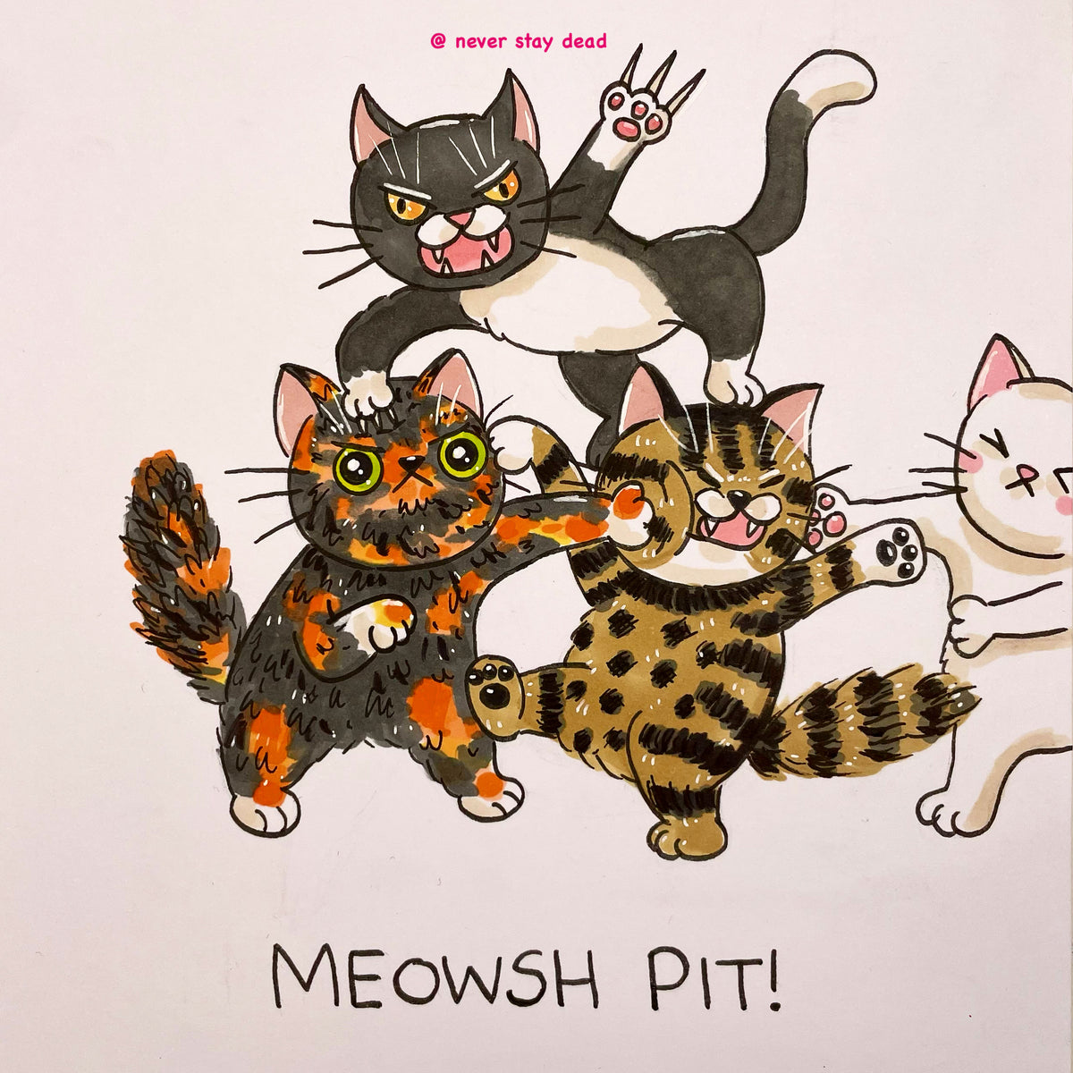 Mini Original ‘Meowsh Pit’ Doodle (A5) – Never Stay Dead