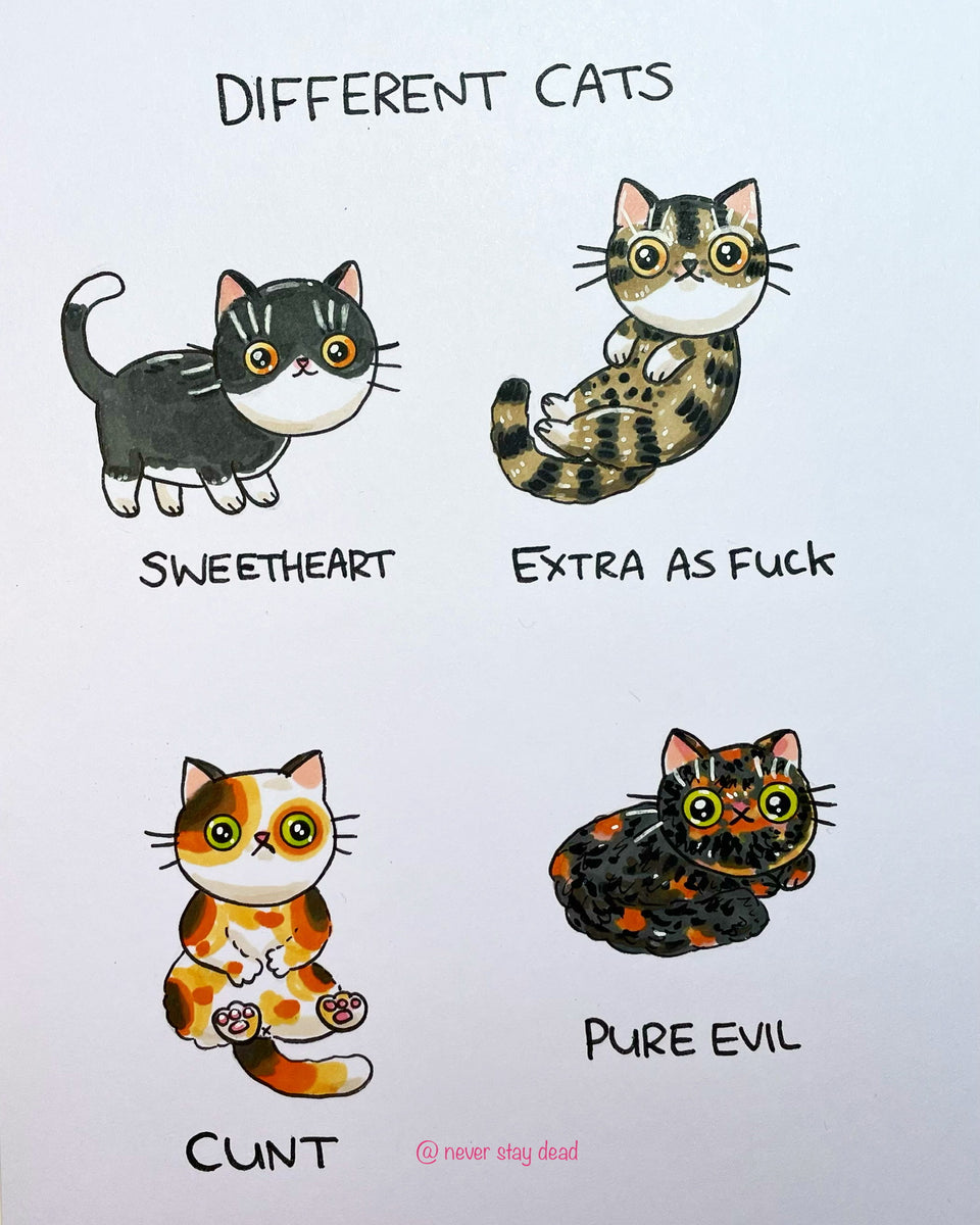 Mini Original ‘Different Cats’ Drawing (A5) – Never Stay Dead