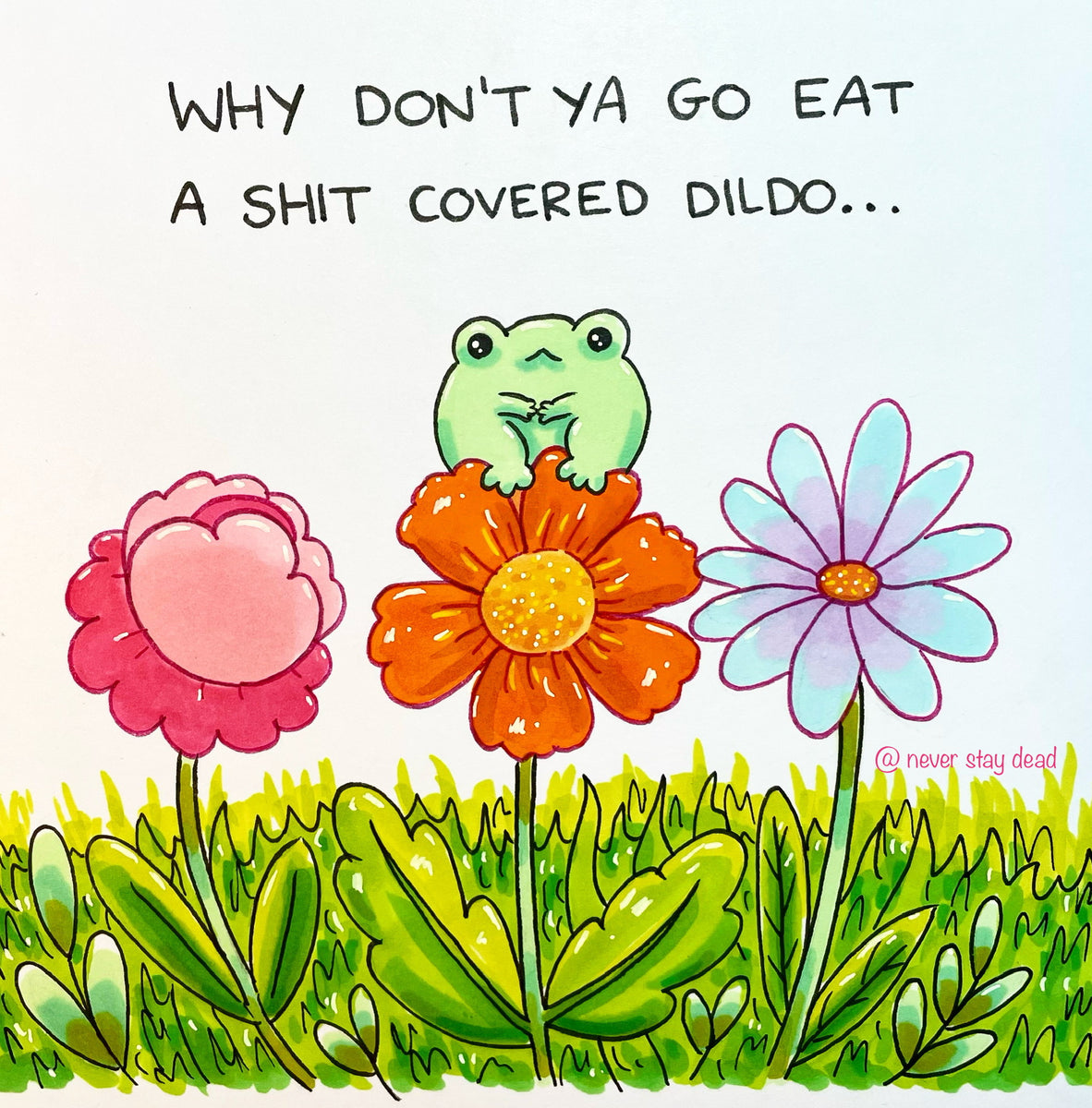 Mini Original ‘Why Don’t Ya…Frog’ Drawing (A5) – Never Stay Dead